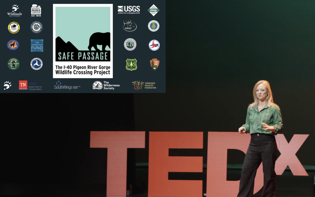 Wildlands Network's Nikki Robinson reflects on Safe Passage TEDx Talk ...