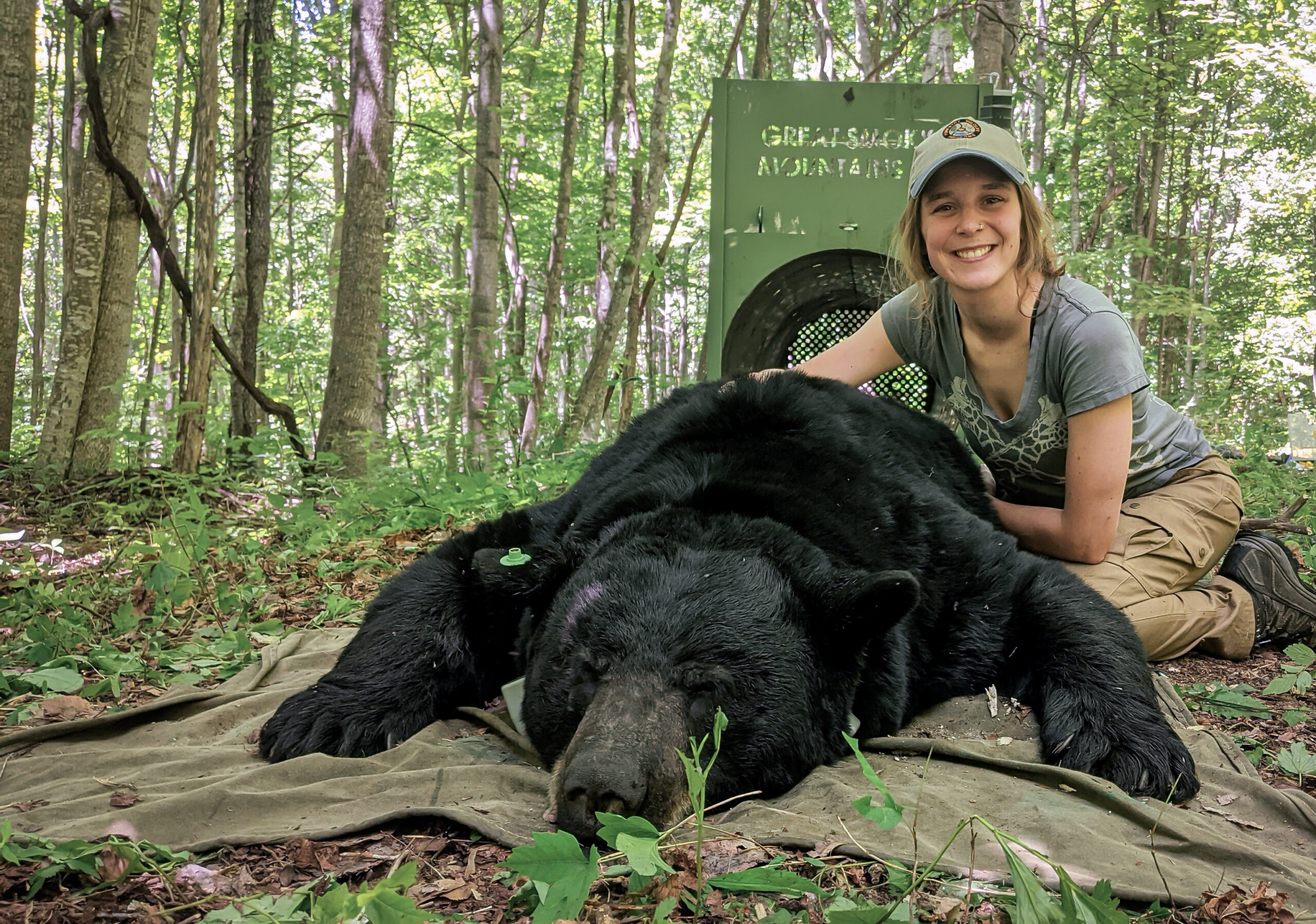Wildlife Conservation Spotlight: UT researcher Kristin Botzet ...